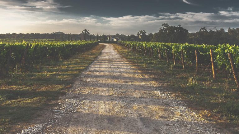Practical Advice for Spiritual Drought - Jacob Abshire