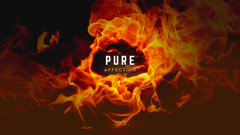 Wallpaper: Pure Affection - Jacob Abshire